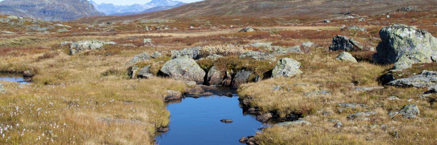 Tyin-Filefjell Skisenter: De beste hotellene og overnattingssteder i ...