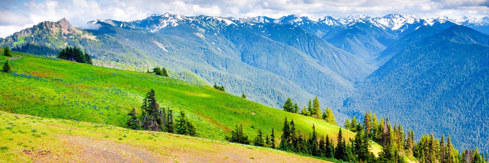 The Best Hurricane Ridge Hotels – Where To Stay in and around Hurricane ...