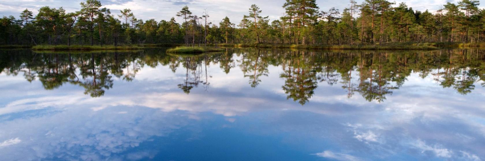 The Best Bergslagen Hotels – Where To Stay in and around Bergslagen, Sweden