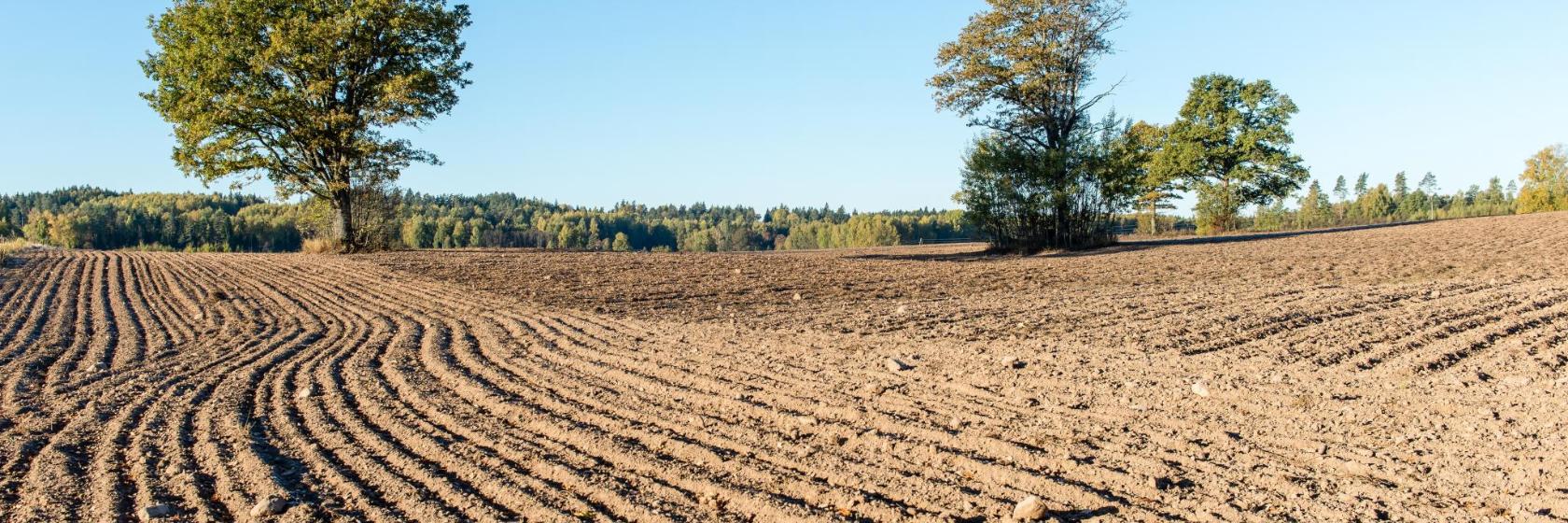 The Best Livani Municipality Hotels – Where To Stay in and around ...