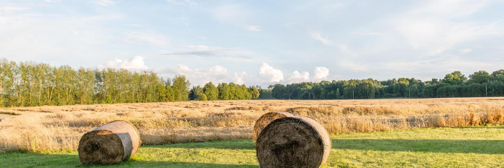 The Best Priekuli Municipality Hotels – Where To Stay in and around ...