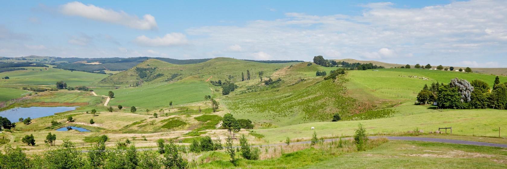 The Best Mooi River Hotels – Where To Stay in and around Mooi River ...