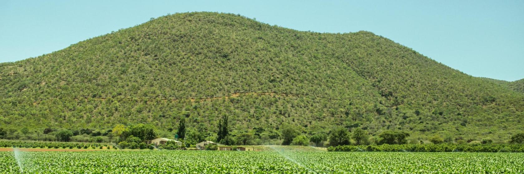 The Best Groblersdal Hotels – Where To Stay in and around Groblersdal ...