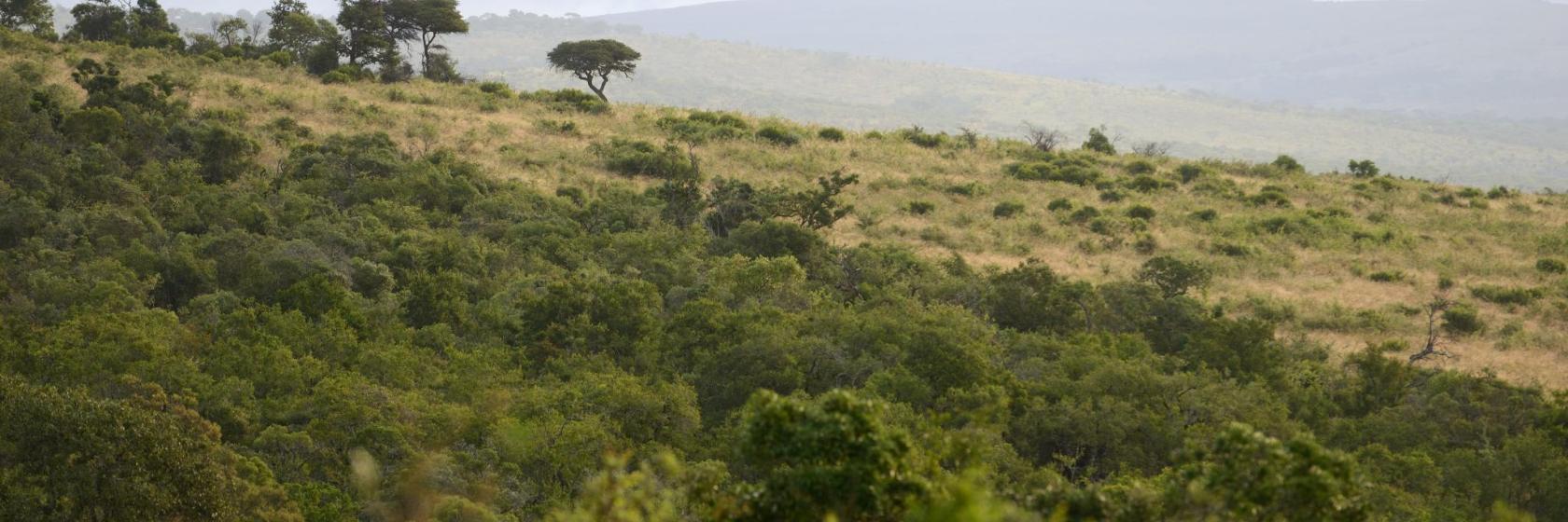 The Best Hlabisa Hotels – Where To Stay in and around Hlabisa, South Africa