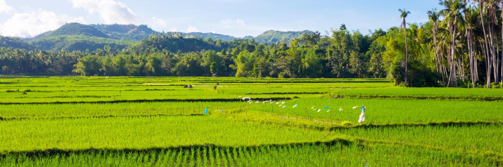 The Best Visayas Hotels – Where To Stay in and around Visayas, Philippines