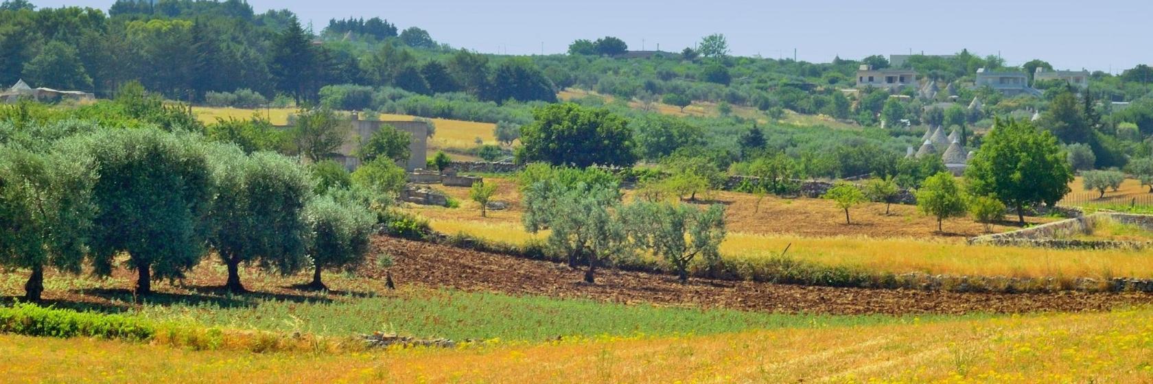 Vallée d'Itria : les meilleurs hôtels – Où séjourner dans cette région ...