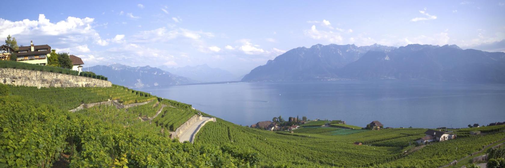 The Best Lake Geneva Hotels – Where To Stay in and around Lake Geneva ...