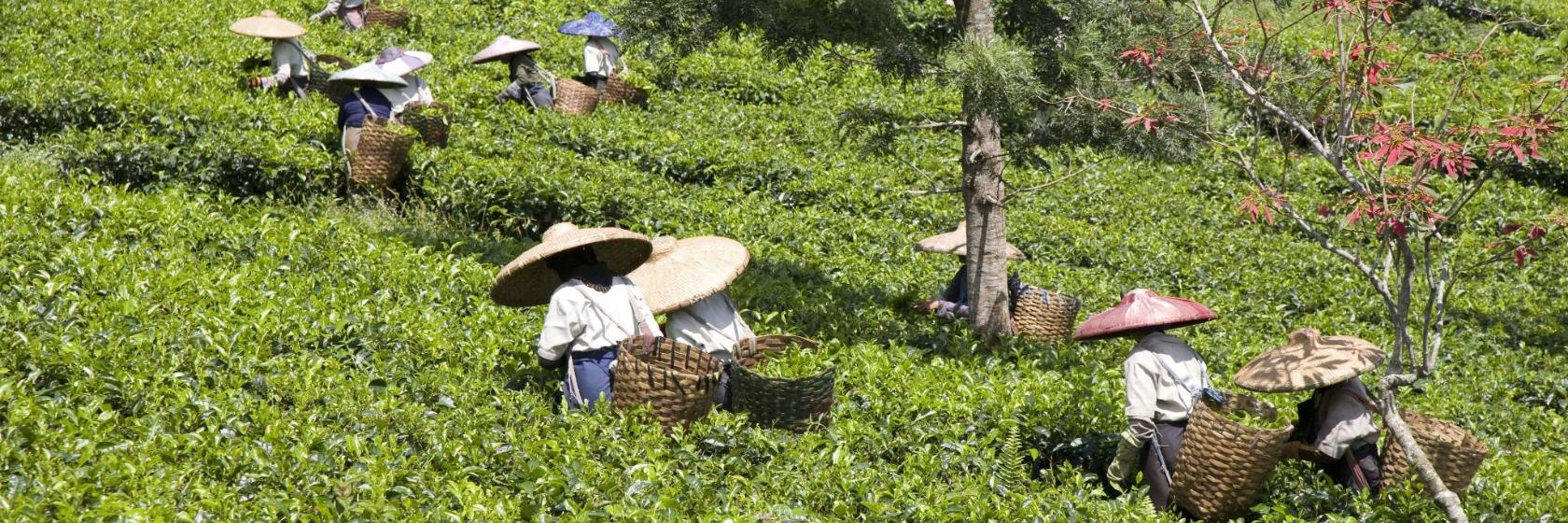 The Best West Java Hotels – Where To Stay in and around West Java ...