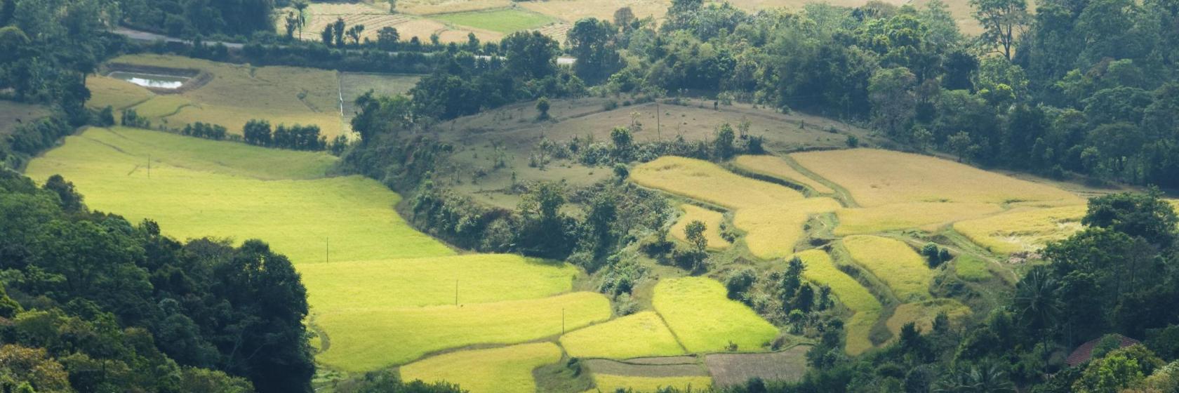 The Best Coorg Hotels – Where To Stay in and around Coorg, India