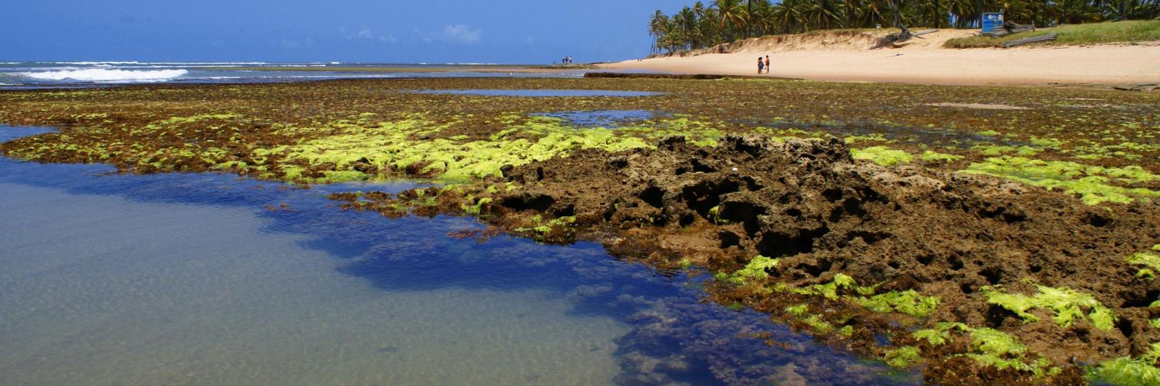 The Best Costa dos Coqueiros Hotels – Where To Stay in and around Costa ...