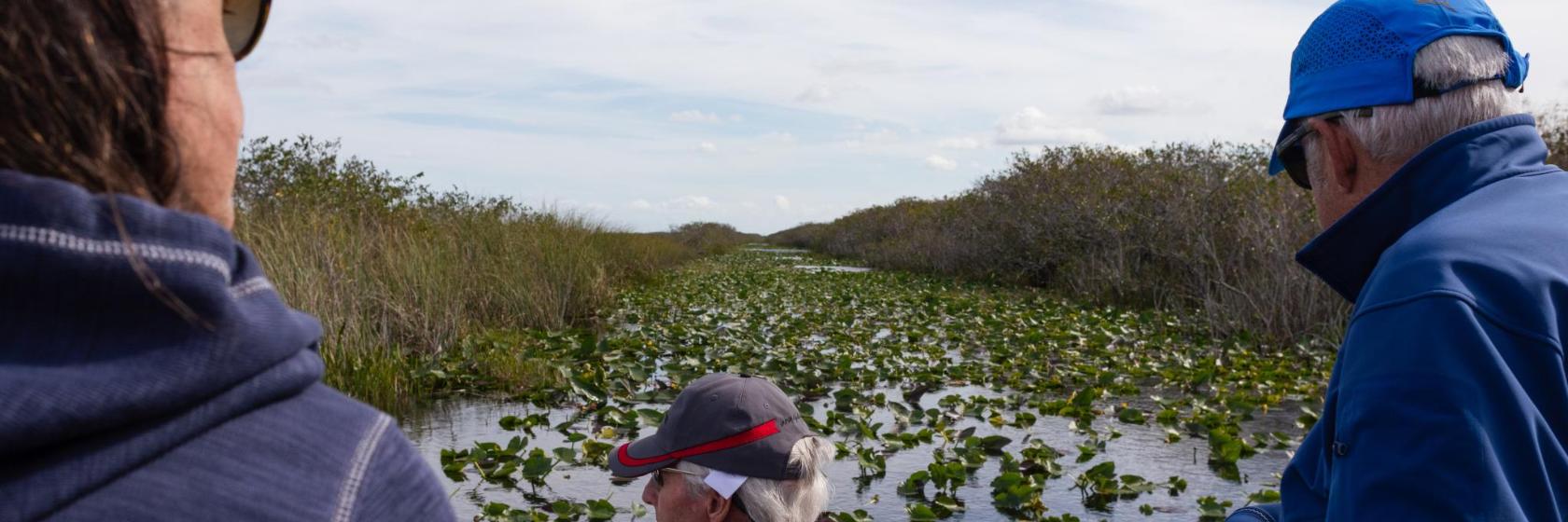 The Best Everglades National Park Hotels – Where To Stay in and around ...