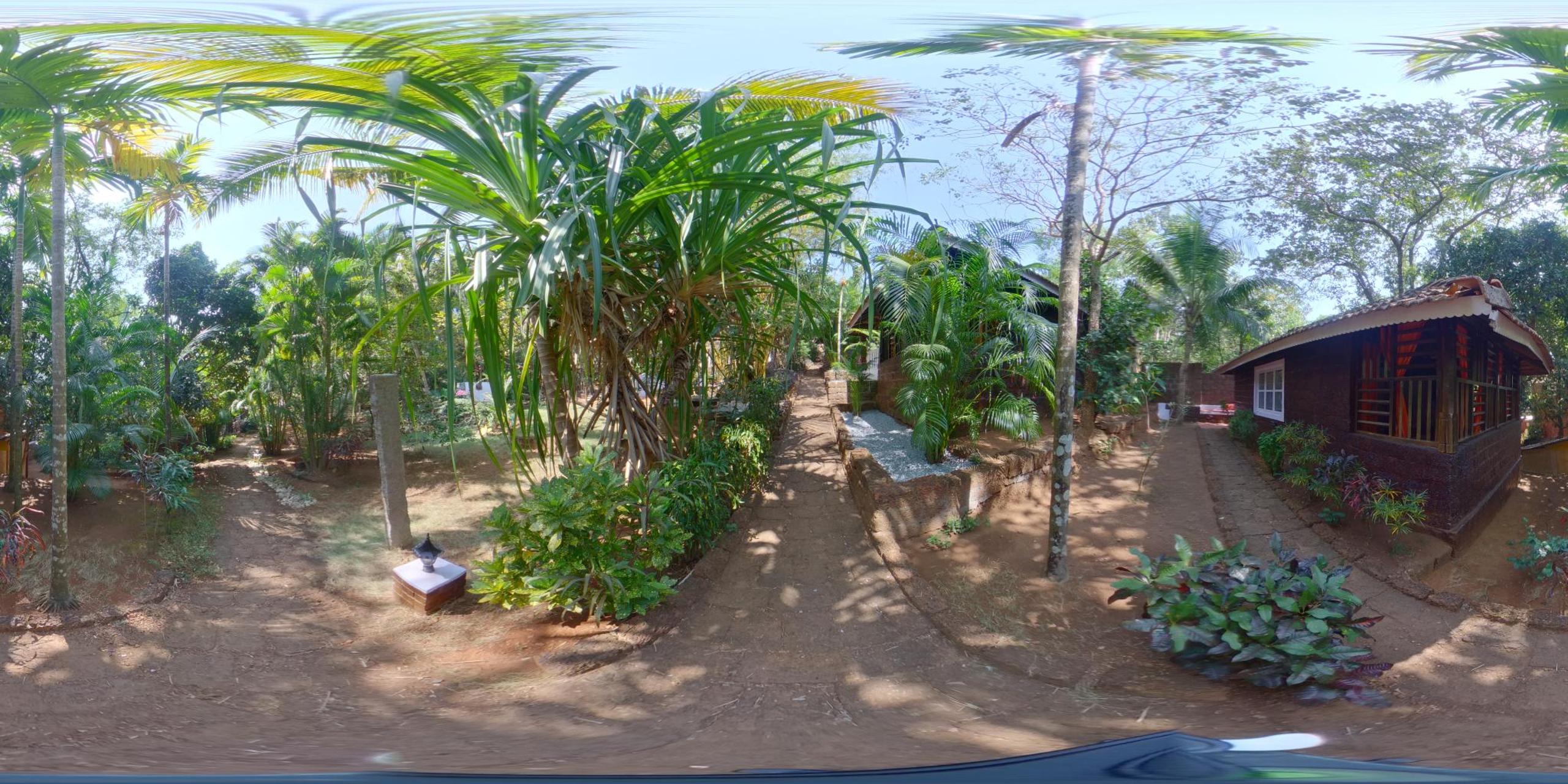 Namaste Yoga Farm, Gokarna (updated prices 2025)