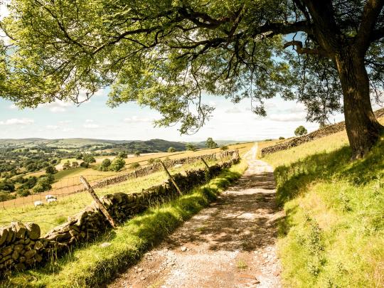 The best of England’s natural beauty | Booking.com