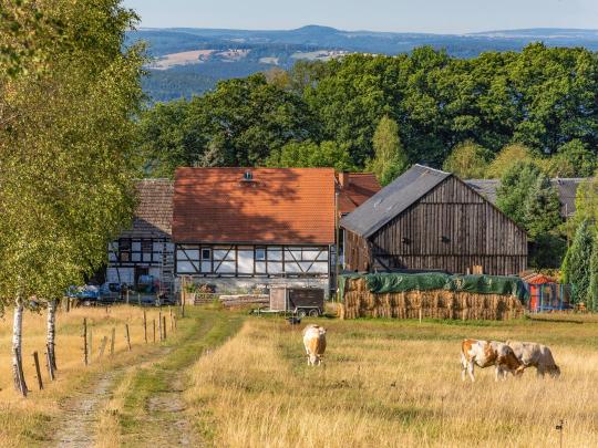 Country escapes: Germany's tranquil farm stays | Booking.com