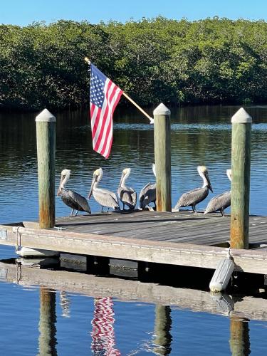 Pirates Pointe Resort, Ruskin – Updated 2022 Prices