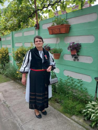 Casa Florica wooden house, Gura Râului (updated prices 2025)